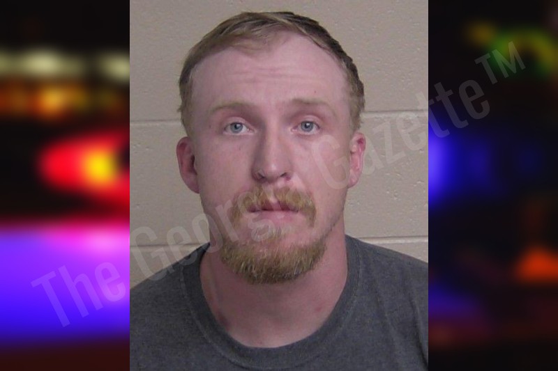 Alex Wallin — Walker County Jail Bookings