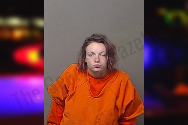 Kristen Waters — DeKalb County Jail Bookings