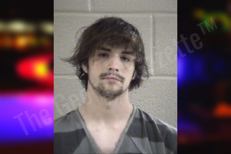 Austin Weaver — Whitfield County Jail Bookings