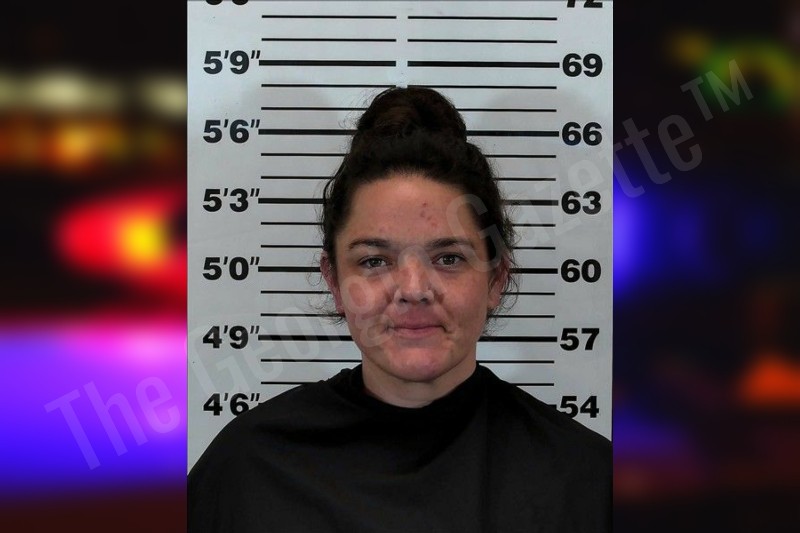 Whitney Webb — Hart County Jail Bookings