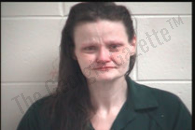 Jennifer Weems — Henry County Jail Bookings