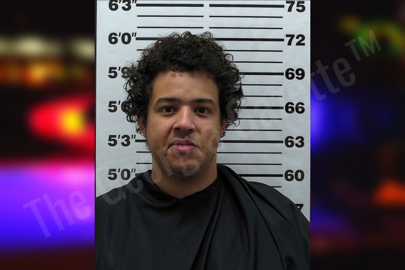 Cameron Wiley — Hart County Jail Bookings