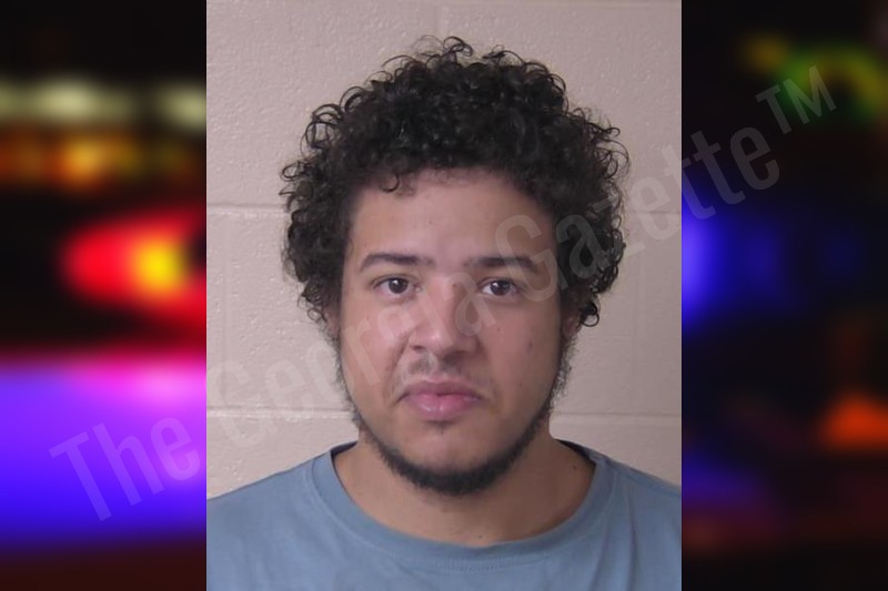 Cameron Wiley — Walker County Jail Bookings