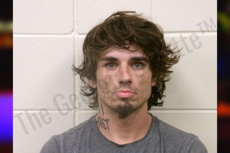 Justin Williams — Bulloch County Jail Bookings