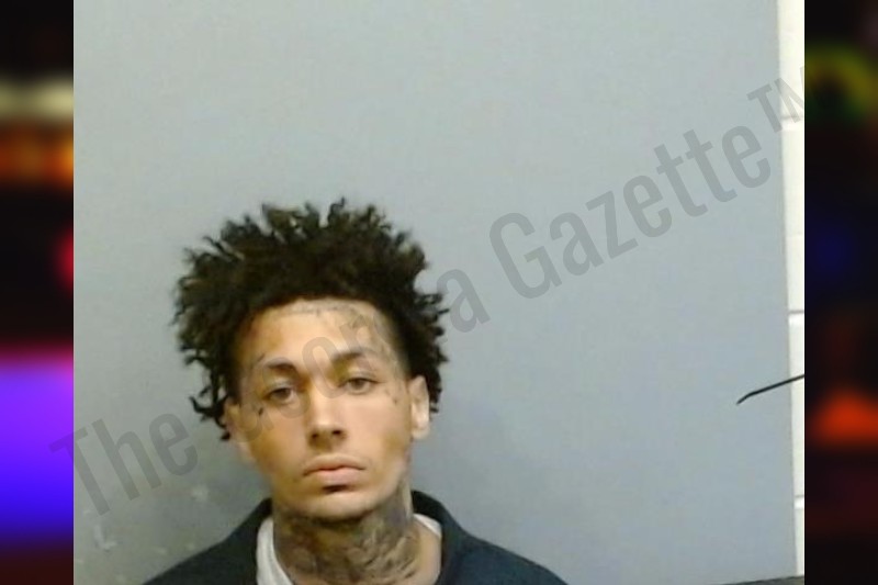 Gabriel Williamson — Fulton County Jail Bookings