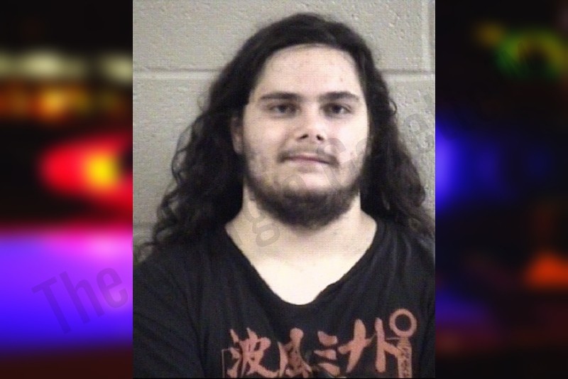 Mitchell Willis — Whitfield County Jail Bookings