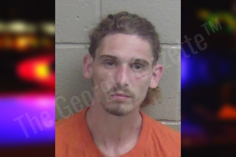 Johnny Wilson — Wayne County Jail Bookings