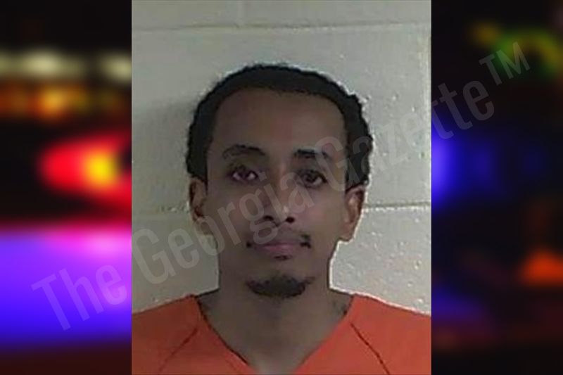 Semon Woldai — Fannin County Jail Bookings