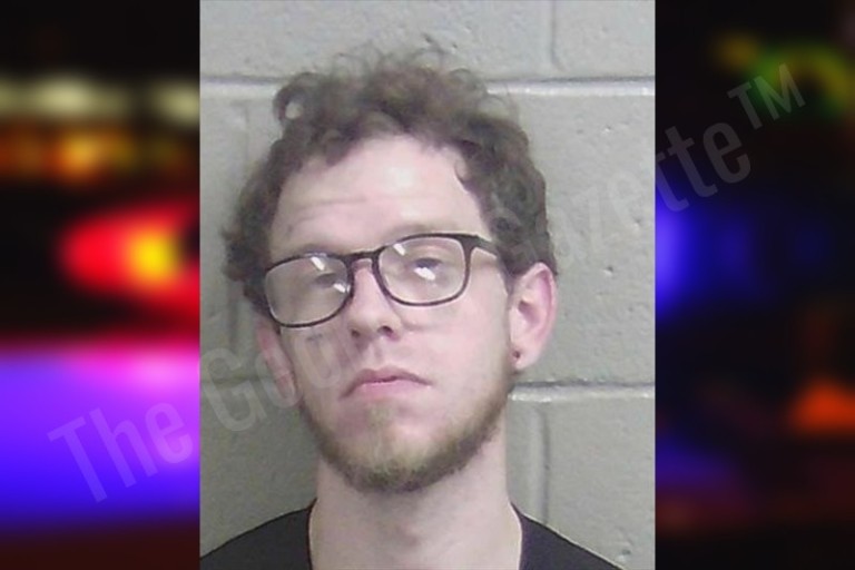 Tyler Woodcock — Wayne County Jail Bookings