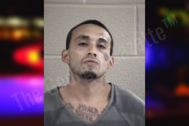 Alex Zamora — Whitfield County Jail Bookings