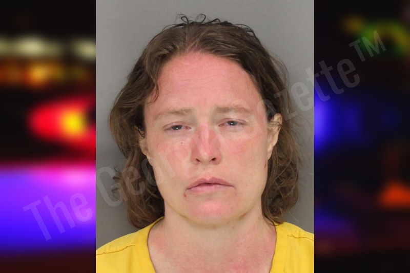 Lisa Akers — Cobb County Jail Bookings