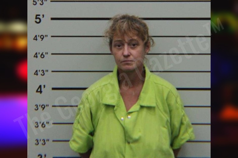 Susan Akin — Turner County Jail Bookings