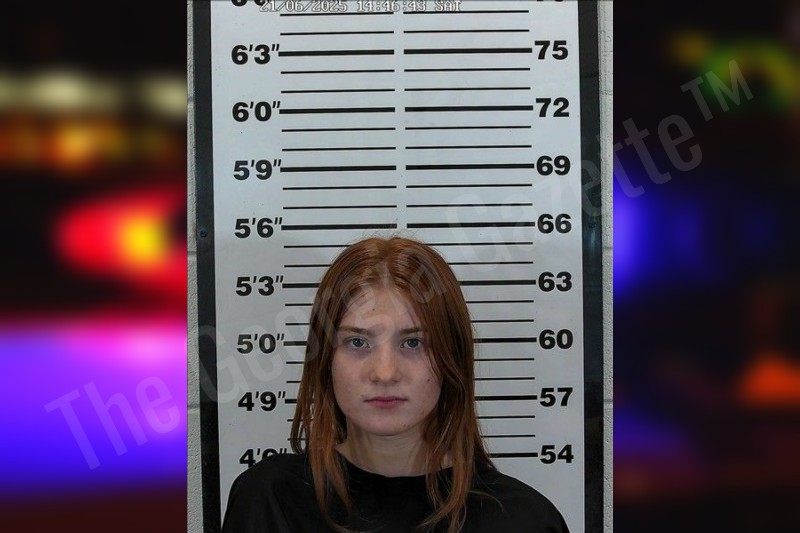 Callie Alexander — Hart County Jail Bookings