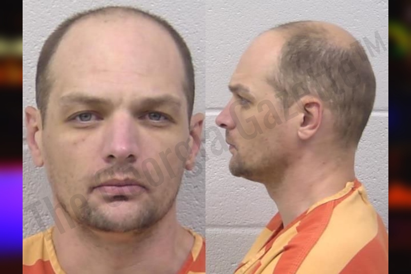 Timothy Allen — Paulding County Jail Bookings