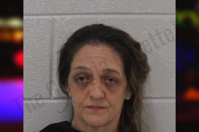 Melissa Beaudette — Carroll County Jail Bookings
