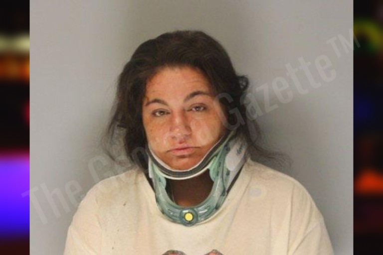 Brooke-Anne Bishop — Hall County Jail Bookings