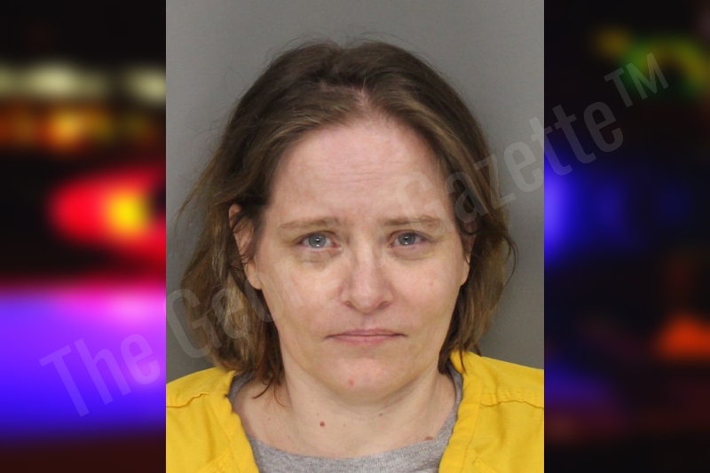 Amy Bolin — Cobb County Jail Bookings