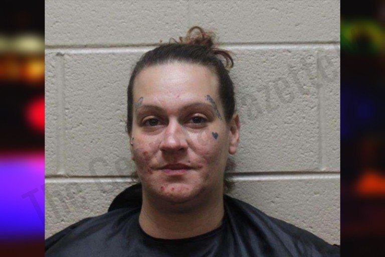 Krista Bradberry — Haralson County Jail Bookings