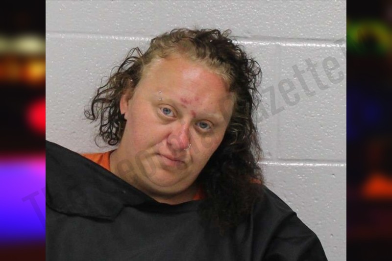 Sarah Brock — Carroll County Jail Bookings