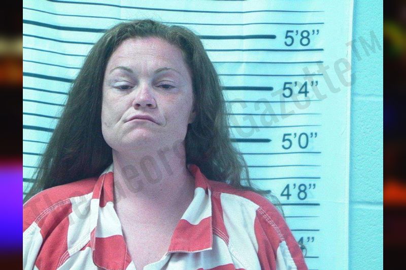 Tabitha Bollinger — Stephens County Jail Bookings