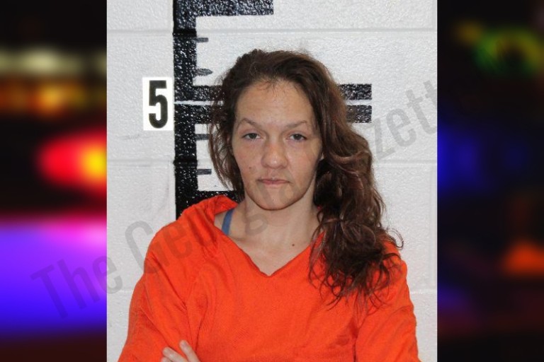 Tonya Brannon — Murray County Jail Bookings