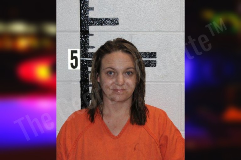 Erica Brehm — Murray County Jail Bookings