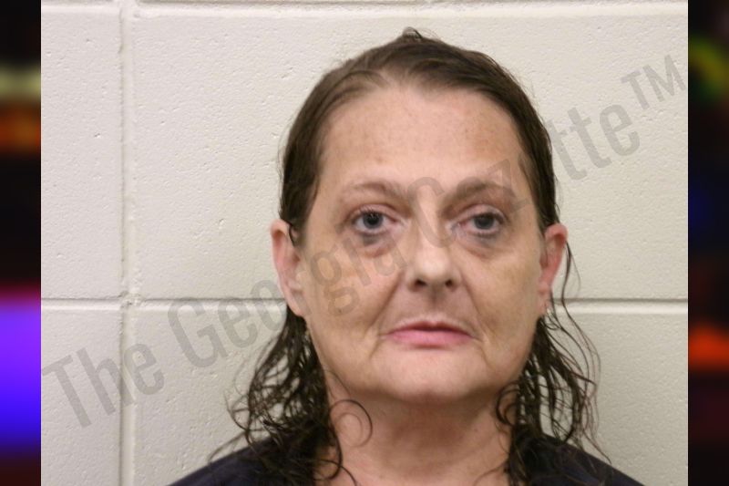 Traci Bridges — Bulloch County Jail Bookings