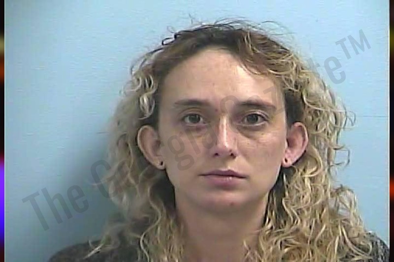 Rylee Brooks — Dawson County Jail Bookings