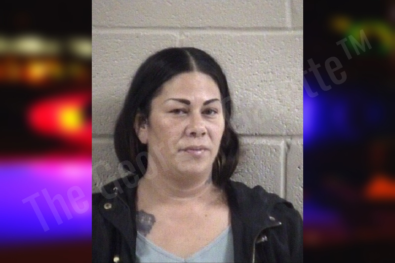 Sally Bryan — Whitfield County Jail Bookings