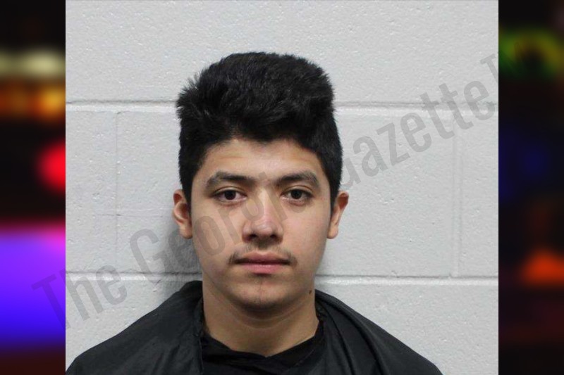 Erasmo Castillo-Lopez — Habersham County Jail Bookings