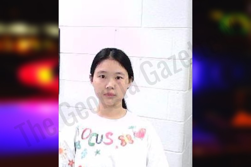 Haonan Chen — Fulton County Jail Bookings