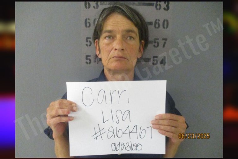 Lisa Carr — Dougherty County Jail Bookings
