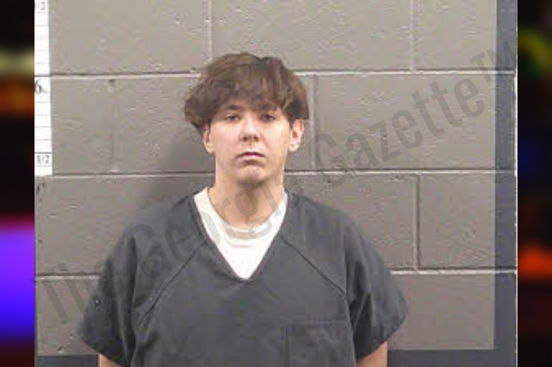 Hayden Cartee — Banks County Jail Bookings