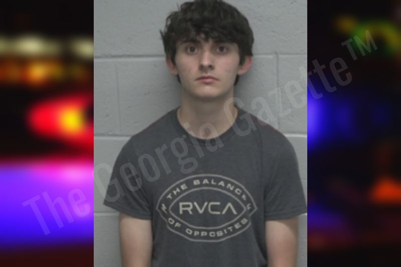 Isaiah Cole — Forsyth County Jail Bookings