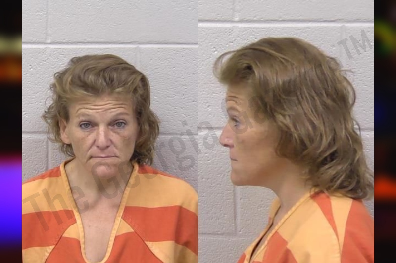 Robin Cook — Paulding County Jail Bookings