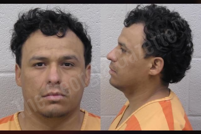 Christian Cortez Avila — Paulding County Jail Bookings