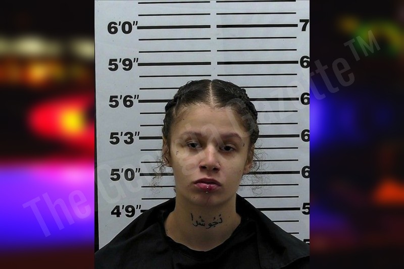 Teresa Crouch — Hart County Jail Bookings