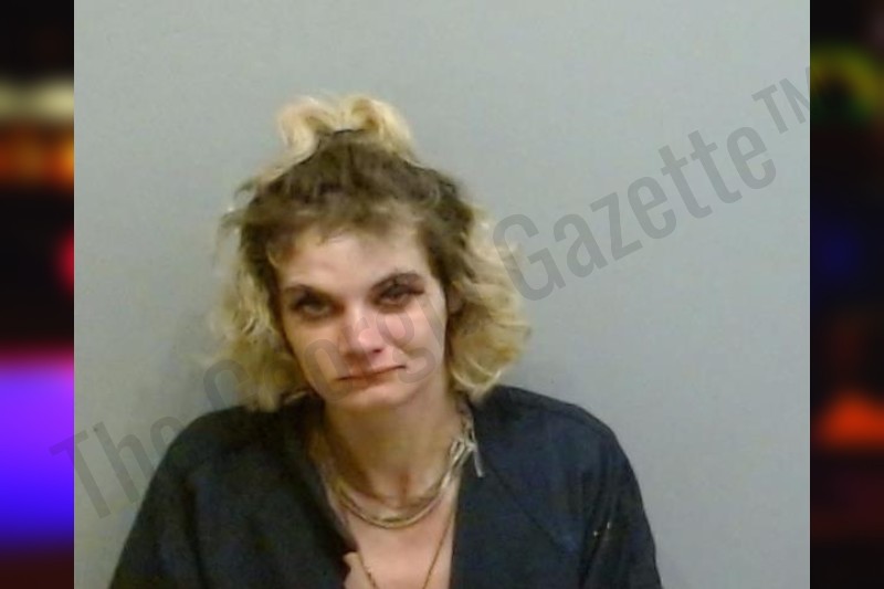 Bethanny Daiker — Fulton County Jail Bookings