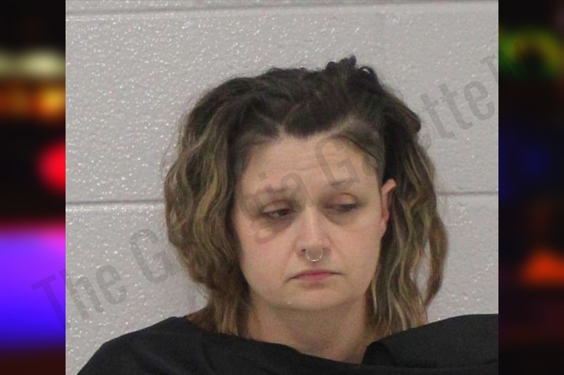 Ashley Denney — Carroll County Jail Bookings