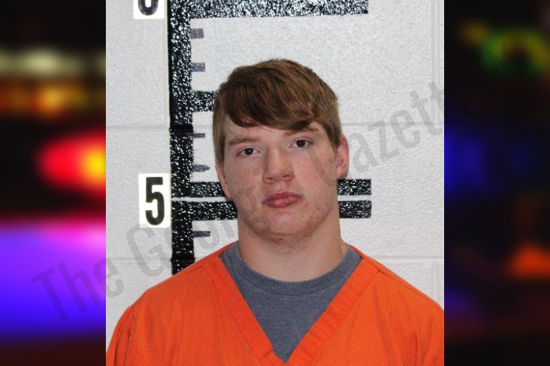 Desin Davis — Murray County Jail Bookings