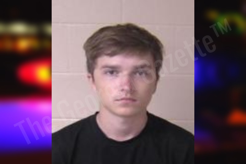 Harlee Davis — Walker County Jail Bookings