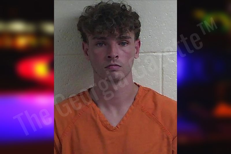 Seth Davis — Fannin County Jail Bookings