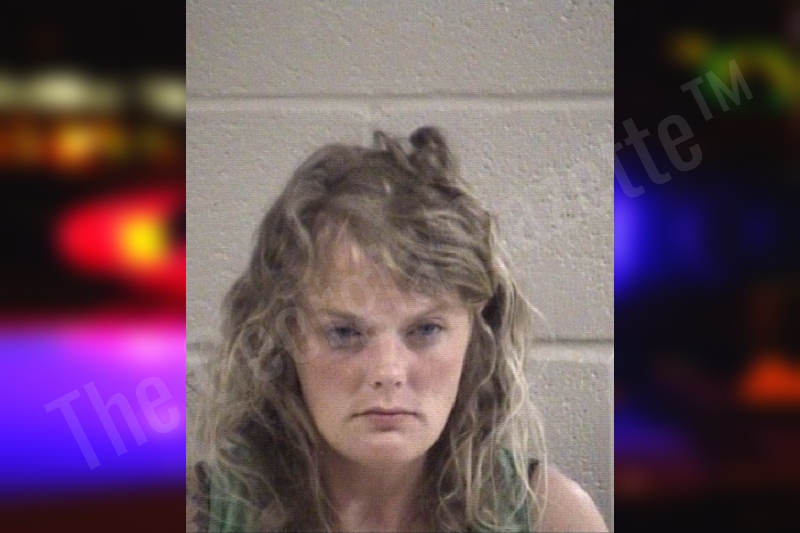 Alexandria Dempsey — Whitfield County Jail Bookings