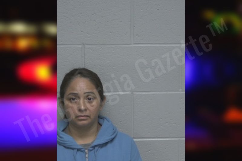 Jazmin Dimas — Forsyth County Jail Bookings