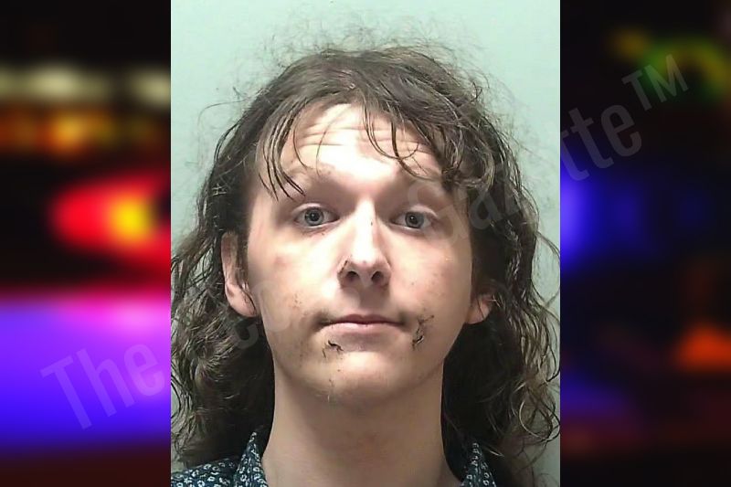 Logan Eller — Towns County Jail Bookings