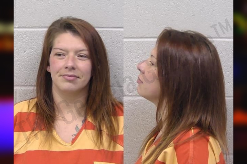 Jamie Elrod — Paulding County Jail Bookings