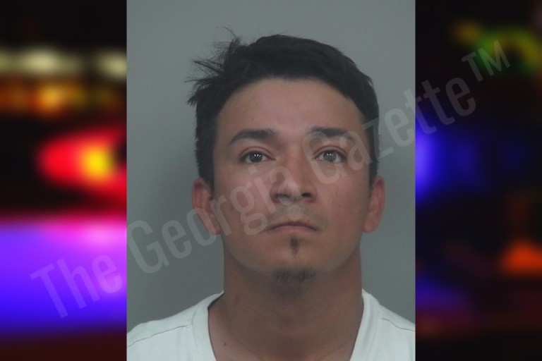 Selvin Flores Gonzalez — Gwinnett County Jail Bookings