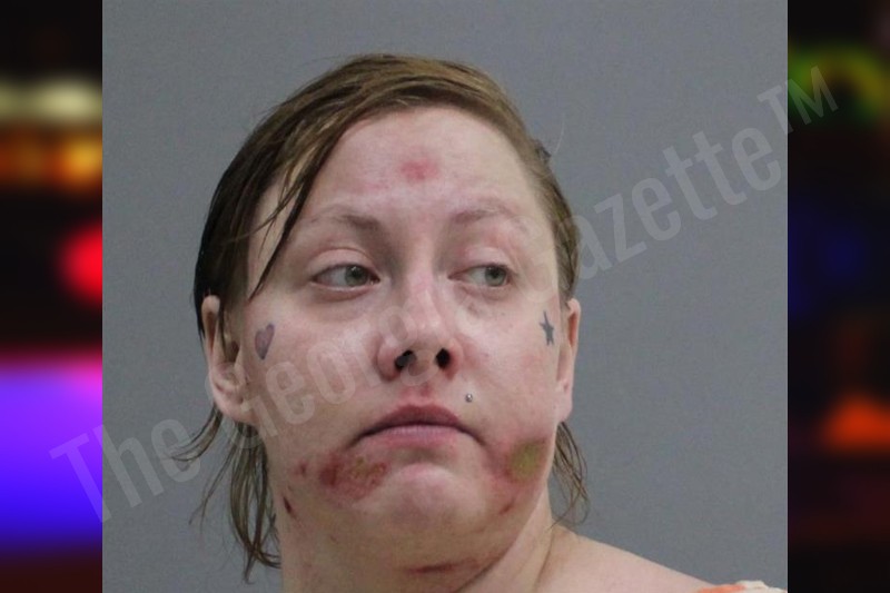 Megan Frady — Rabun County Jail Bookings