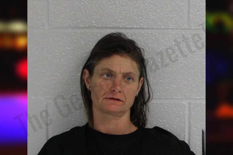Ginger Fuller — Carroll County Jail Bookings