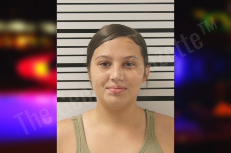 Kirsten Furr — Toombs County Jail Bookings